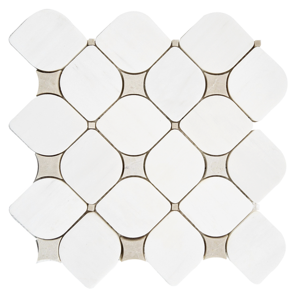 STARDUST Dolomite Marble W/ Crema Nova - Polished – DW TILE & STONE